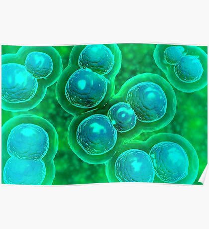 Chlamydia: Posters | Redbubble