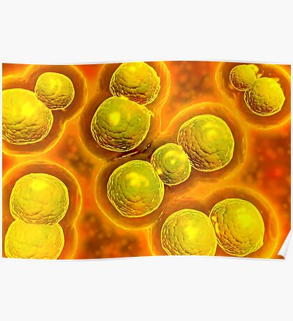 Chlamydia: Posters | Redbubble