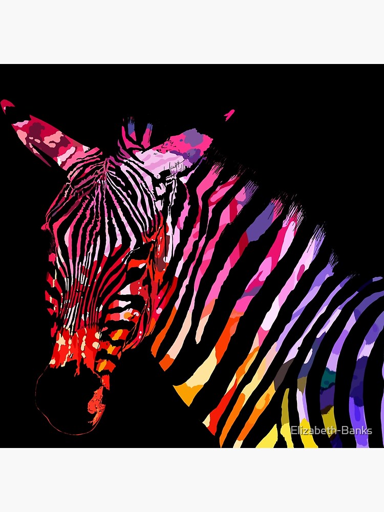 "Zebra original coloured artwork. black background" Poster for Sale by ...