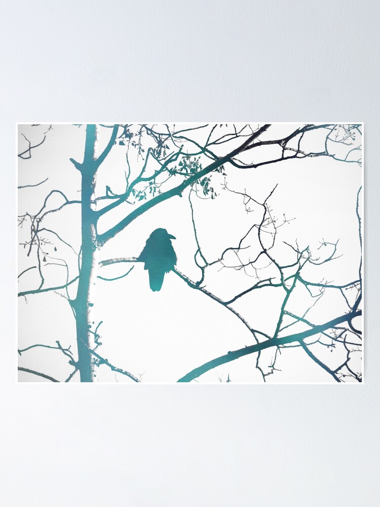 "Icy Raven Silhouette" Poster for Sale by WallCrouton | Redbubble