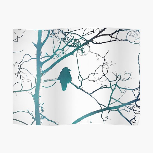 "Icy Raven Silhouette" Poster for Sale by WallCrouton | Redbubble