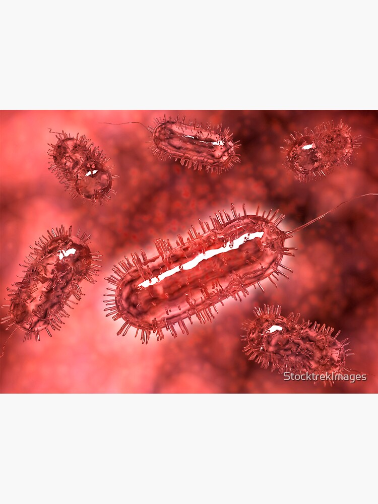 "Group of Escherichia coli bacteria cells, known as E. Coli." Sticker ...