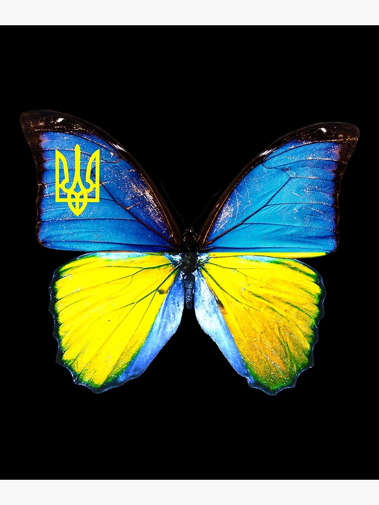 "Ukraine Car Stickers - Ukraine Flag Car Vinyl Decal Stickers | Map of ...