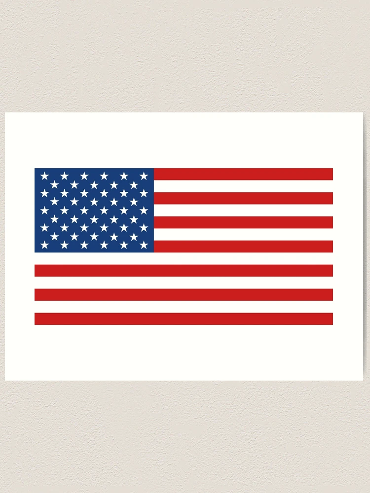 Small American Flag Print Out American Flag, USA Flag Map" Art Print