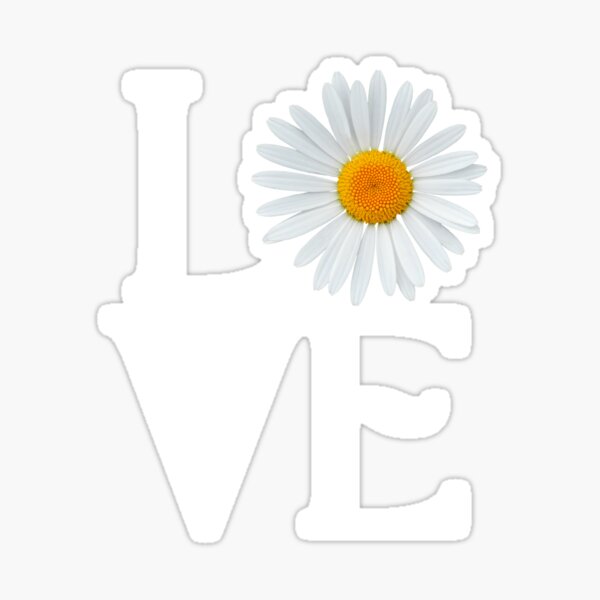 "Love with Daisy Design, Positive Affirmations Witty Friends Funny FYP ...