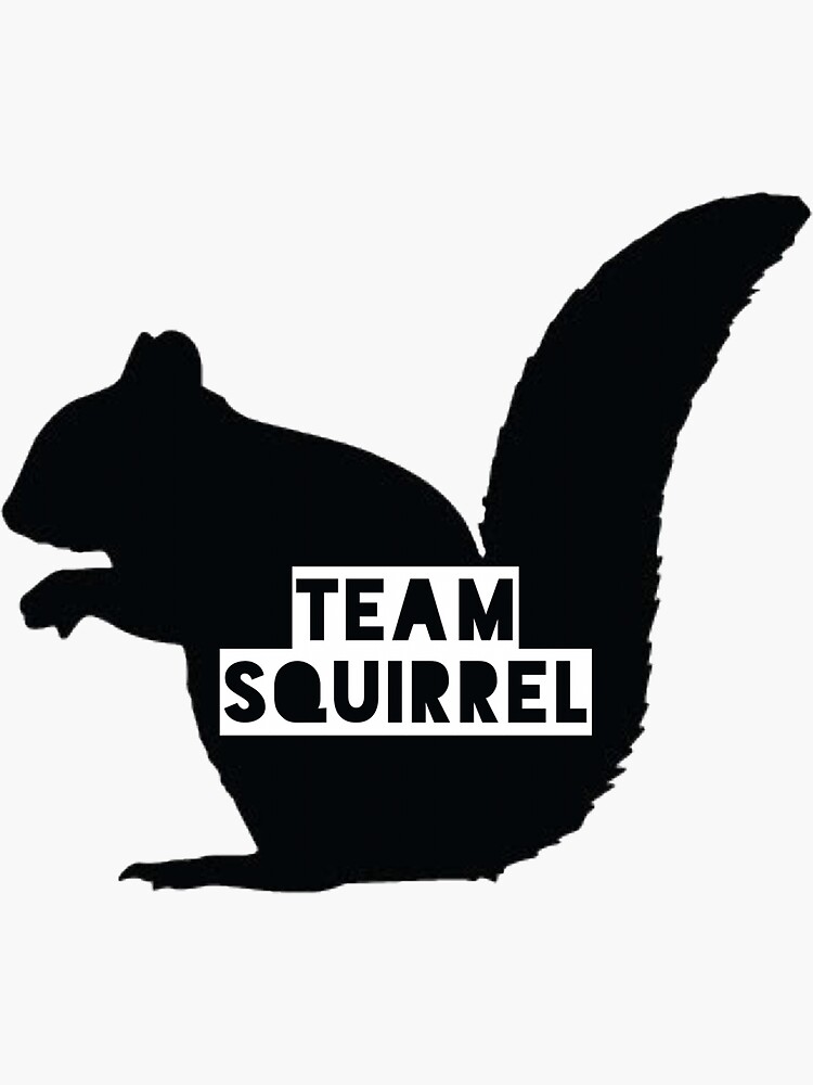 "Team Squirrel!" Sticker for Sale by WaywardCreation | Redbubble
