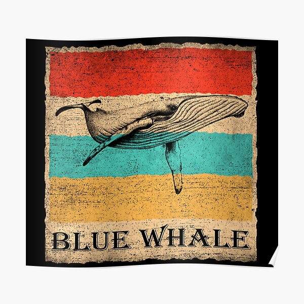 Póster «Camiseta de ballena azul, camiseta vintage de ballena azul ...