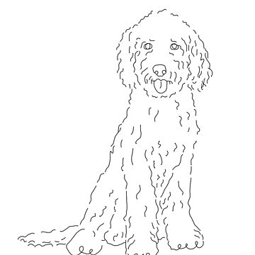"Golden doodle line drawing" Art Board Print for Sale by Alieden09 ...