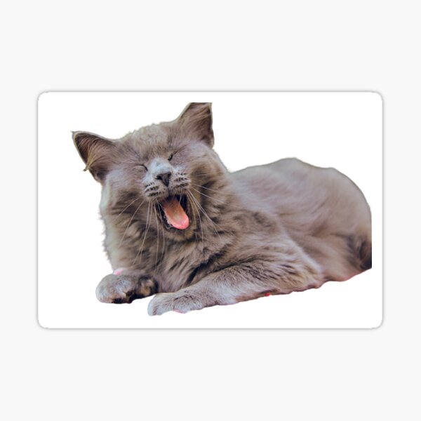 "Yawning Kitty" Sticker for Sale by FSandersShoppe | Redbubble