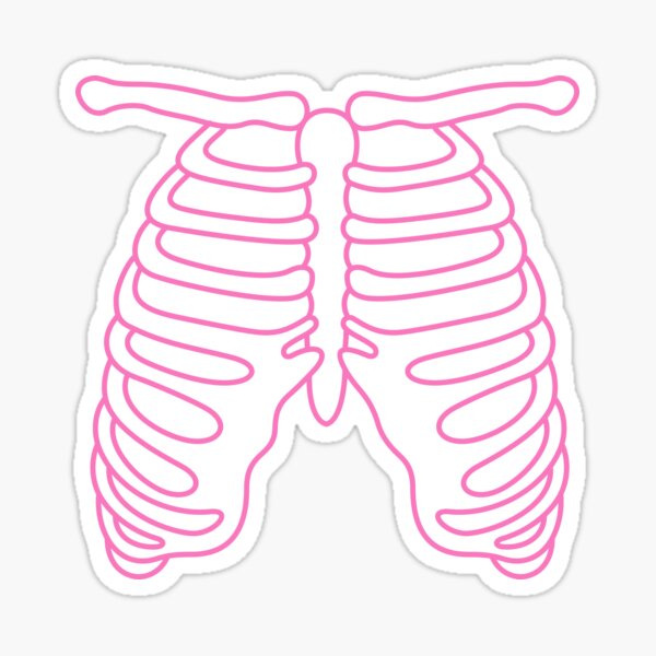 "Skeleton Rib Cage Design" Sticker for Sale by ANYHOOZIT | Redbubble