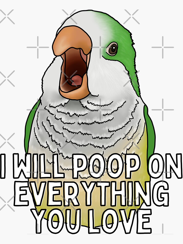 "Quaker Parrot "I Will Poop On Everything You Love" (Green)" Sticker ...
