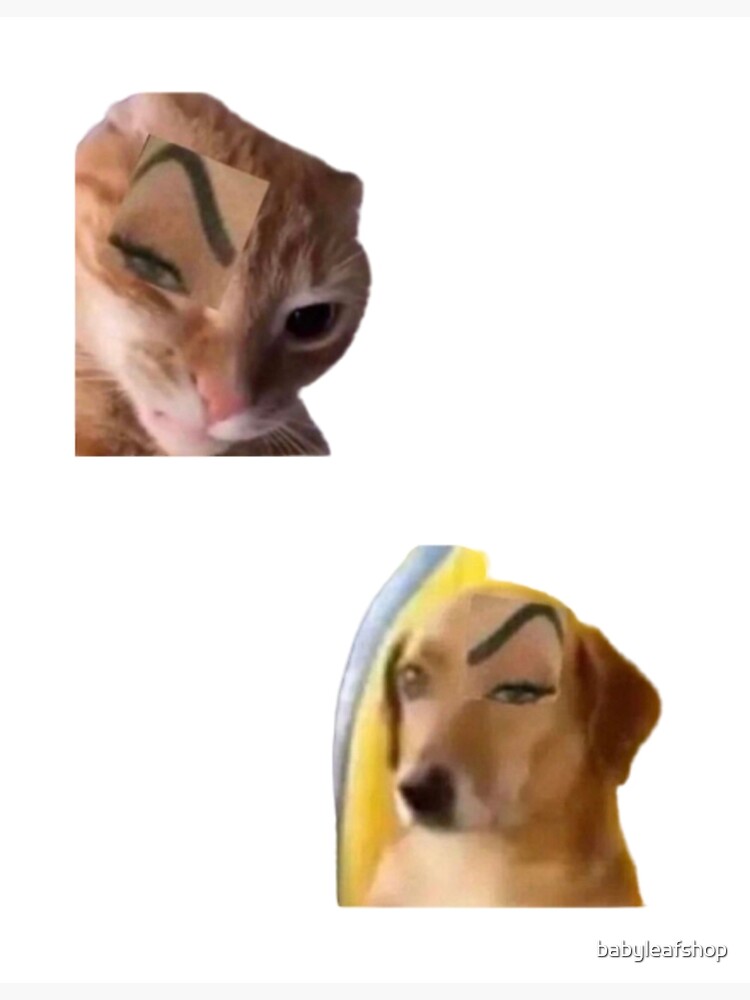 Lienzo «ceja meme gato y perro paquete de pegatinas» de babyleafshop ...