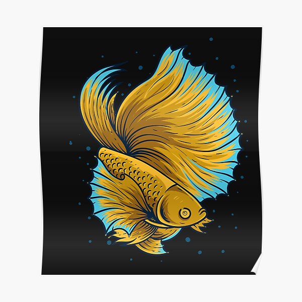 "Beautiful Betta Fish" Poster for Sale by Kamaruj | Redbubble