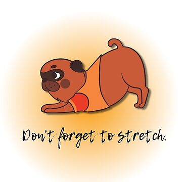 Funny Animal Workout Meme