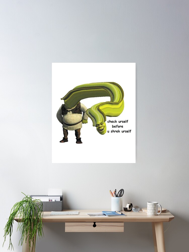 Shrek Yourself Before You Wreck Yourself Meme