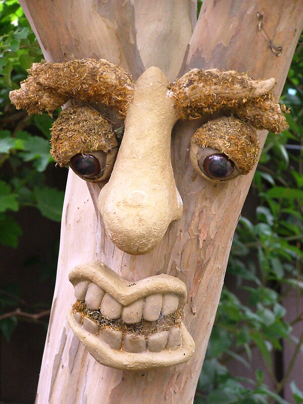 "Funny Tree Face" by charmaine | Redbubble