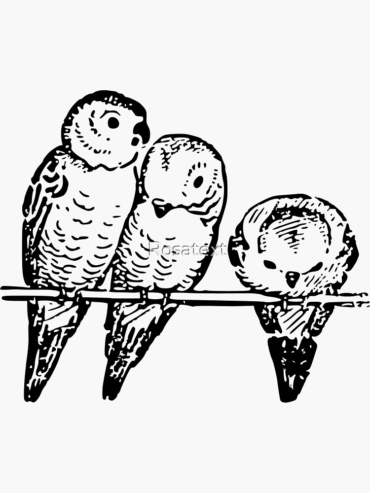 "Parakeets / Quaker parrot drawing" Sticker by Rosatext | Redbubble