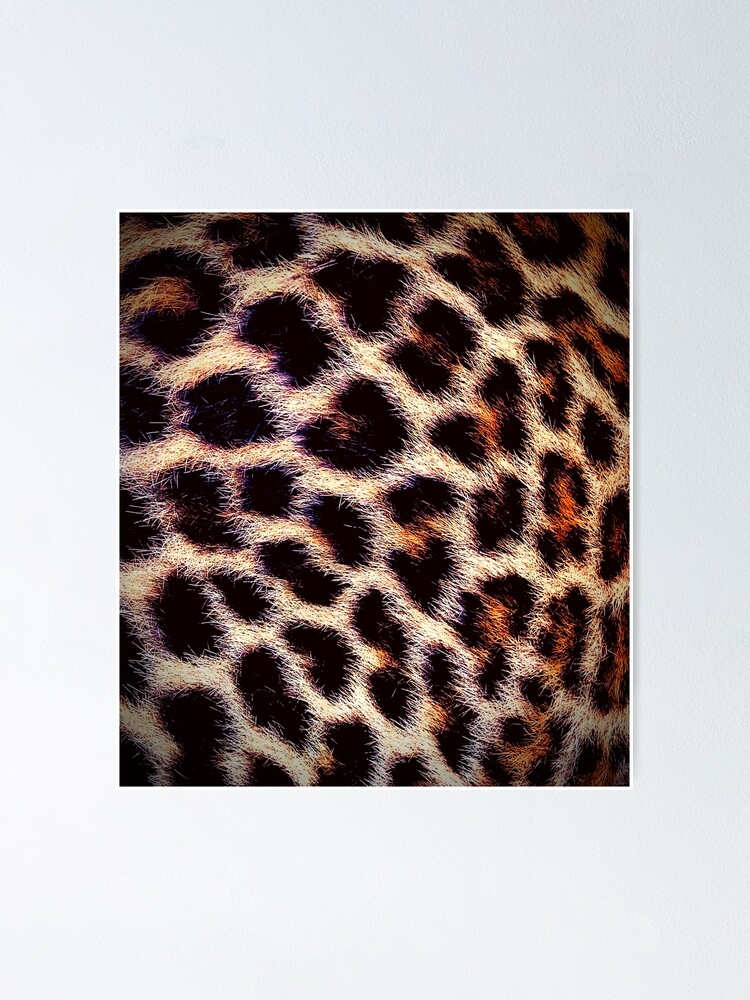 "Big Cats - Leopard Print Pattern - Timeless Decor Leopard Print Art ...