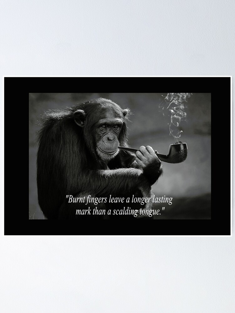 "Fantasy Quote Quotation Monkey Do Not Touch Warning " Poster by ...