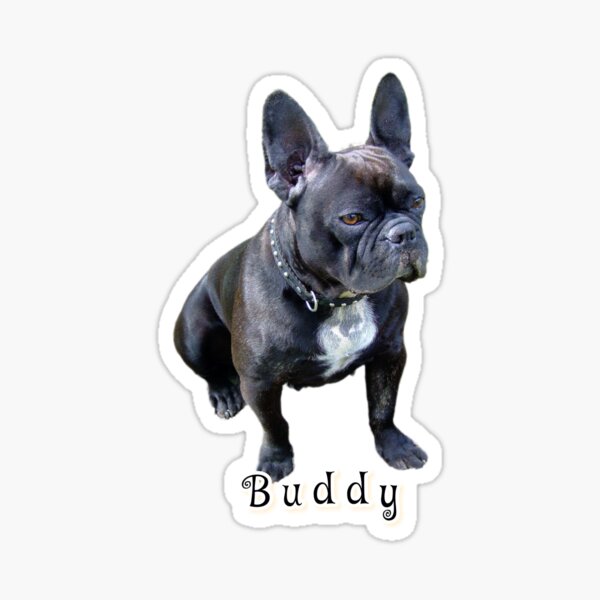 "Buddy" Sticker by Body-and-nature | Redbubble