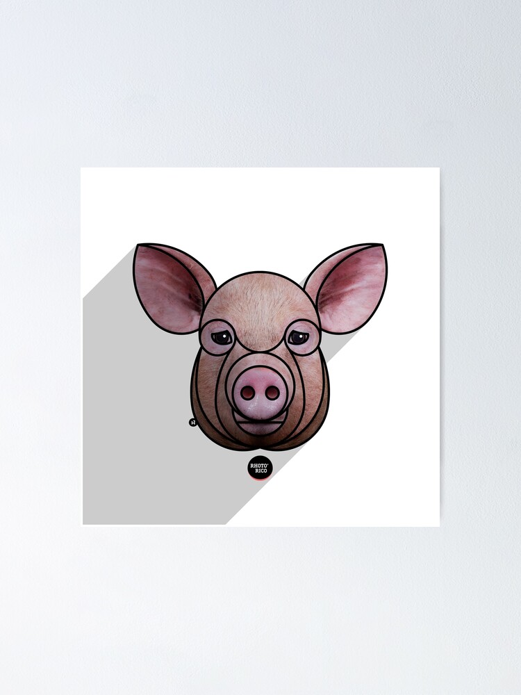 "PIG - BLANCO - Sus scrofa domesticus" Poster for Sale by Rhotorico ...