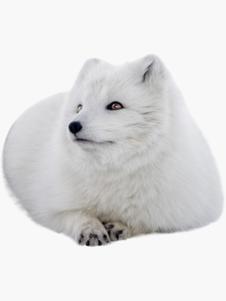 "Furry'Fox" Sticker by WibuStore | Redbubble