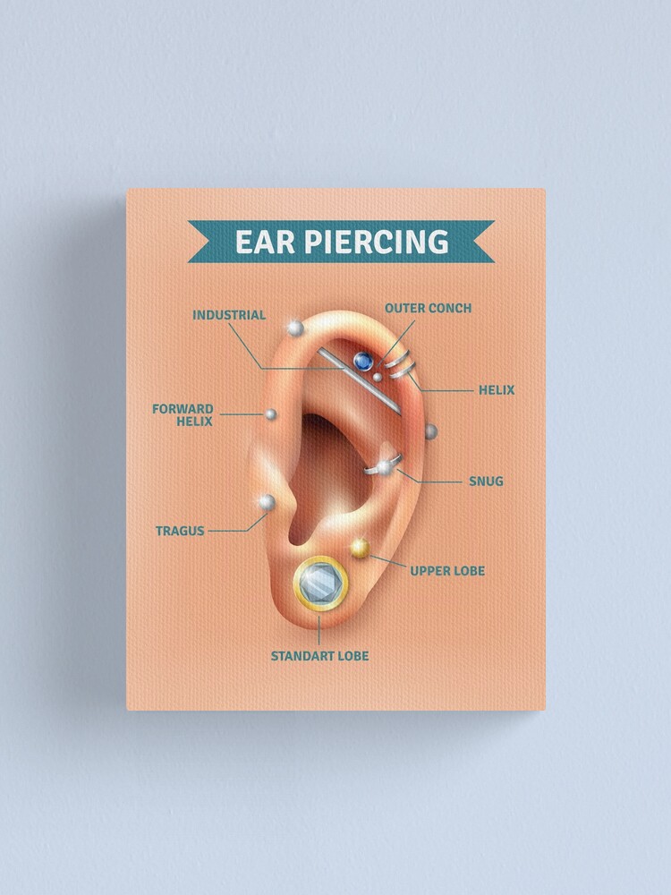 "Ear Piercings" Canvas Print for Sale by DusicaP | Redbubble