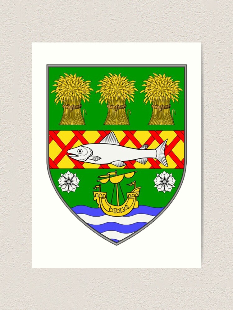 "County Down Coat of Arms" Art Print by downwithdetroit | Redbubble