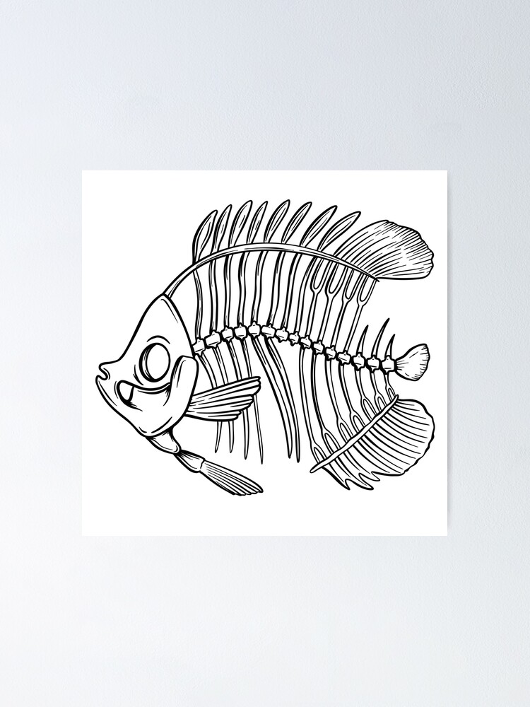 "Fish bone drawing" Poster for Sale by mfitzy | Redbubble