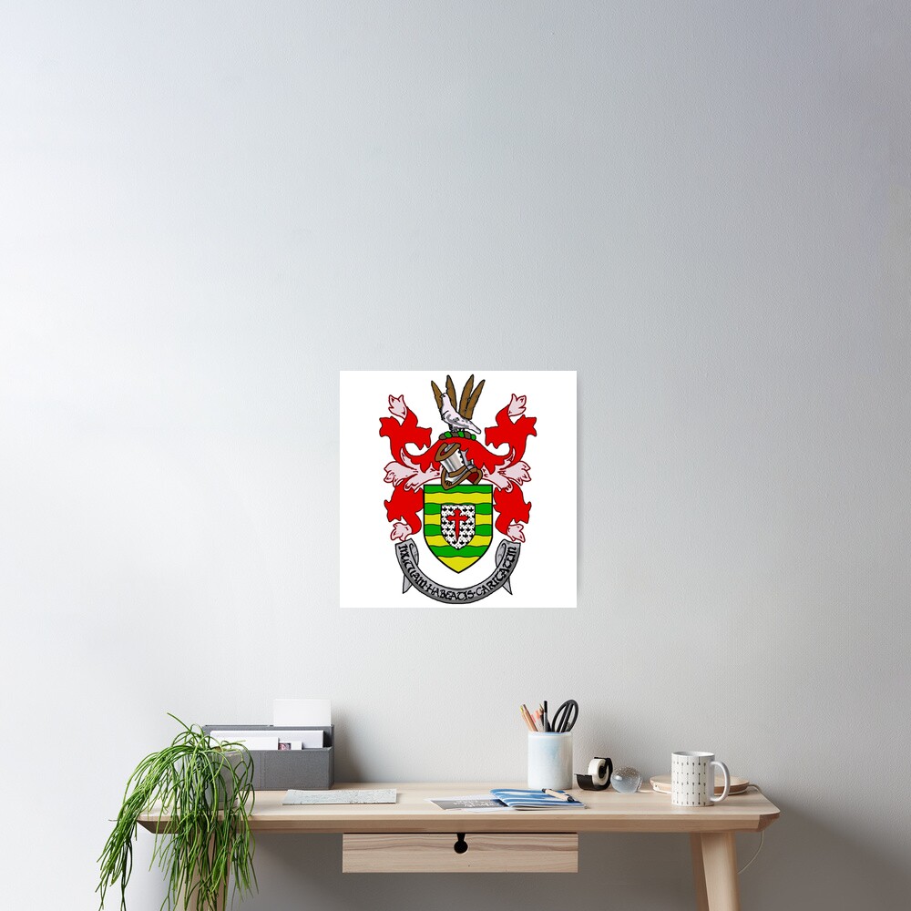 "Donegal County Coat of Arms" Poster by downwithdetroit | Redbubble