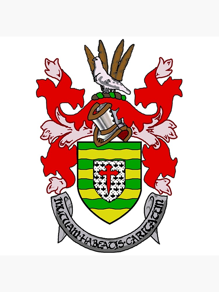 "Donegal County Coat of Arms" Canvas Print by downwithdetroit | Redbubble