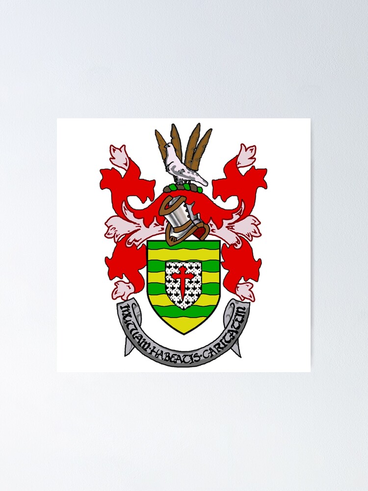 "Donegal County Coat of Arms" Poster by downwithdetroit | Redbubble
