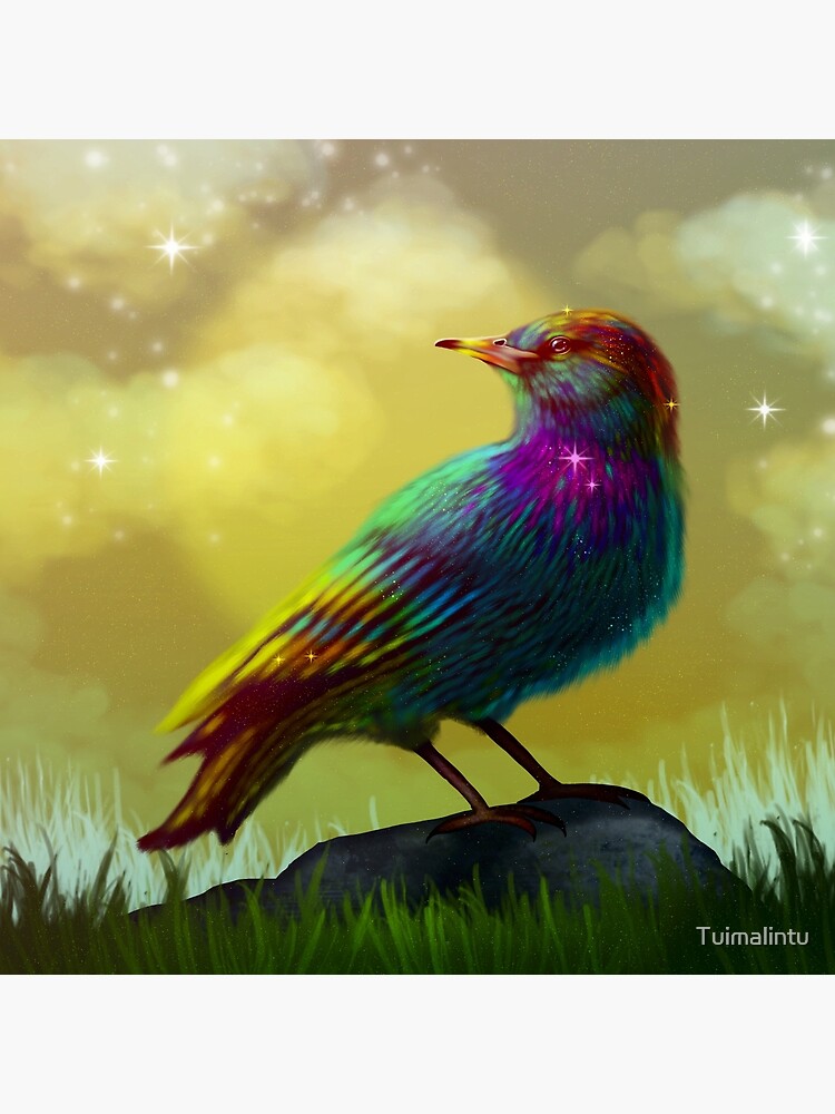 "Rainbow Starling" Poster by Tuimalintu | Redbubble