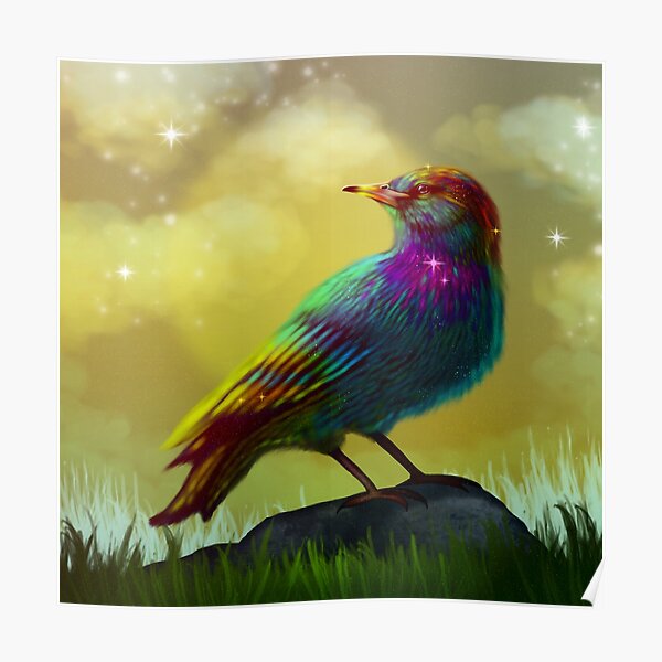"Rainbow Starling" Poster by Tuimalintu | Redbubble