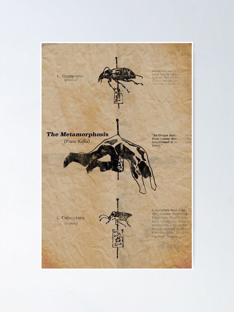 "The Metamorphosis by Franz Kafka" Poster for Sale by votech | Redbubble