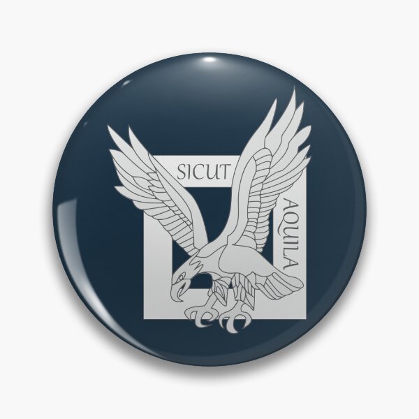 "Sicut aquila - Fusiliers Commandos de l'Air - French Air Force" Pin ...