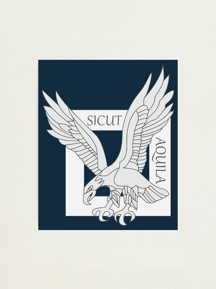 "Sicut aquila - Fusiliers Commandos de l'Air - French Air Force ...