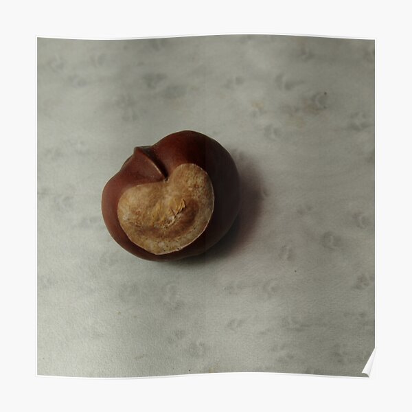 "Single Conker" Poster by adrianwale | Redbubble