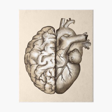 "Right balance between head and brain or heart and feeling, human heart ...