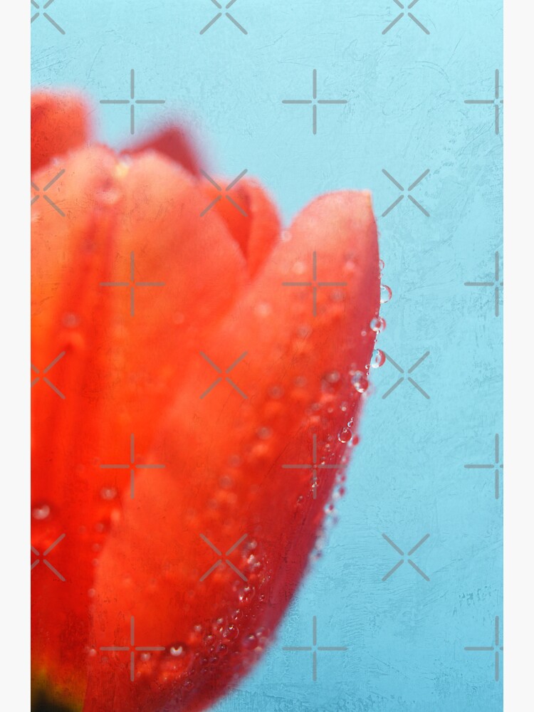 "Keep On Crying" Sticker by DeniseAbe | Redbubble