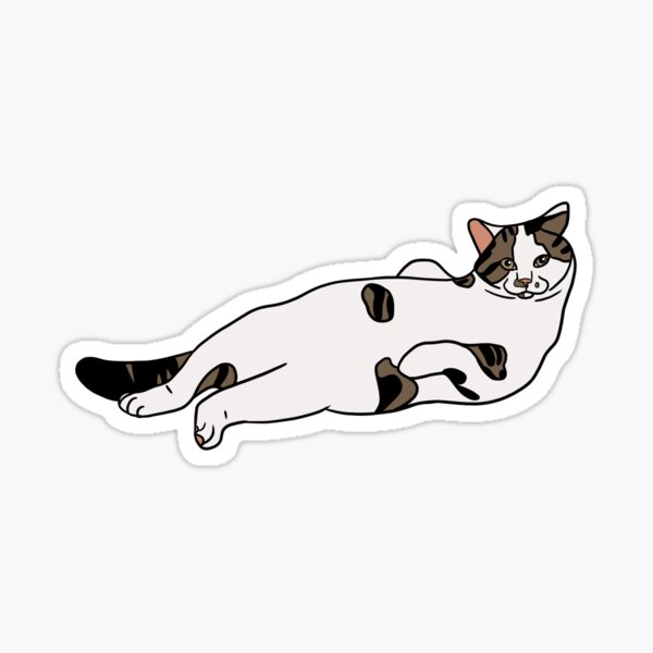 "Chilled seal like cat" Sticker by emmyricks82 | Redbubble