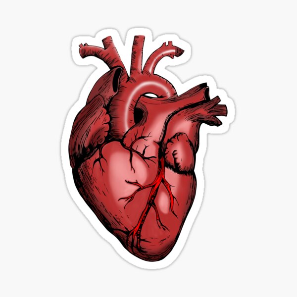 "Cardiologists" Sticker by Bahaboki | Redbubble