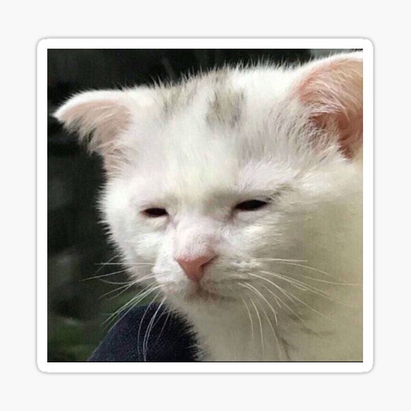 "tired cat" Sticker for Sale by penceyspoison | Redbubble