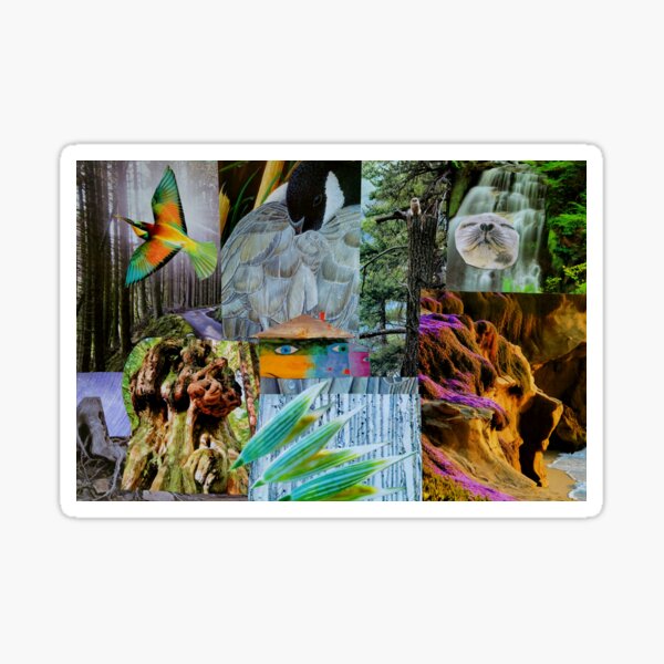 "Nature Collage " Sticker by Serenity4me | Redbubble