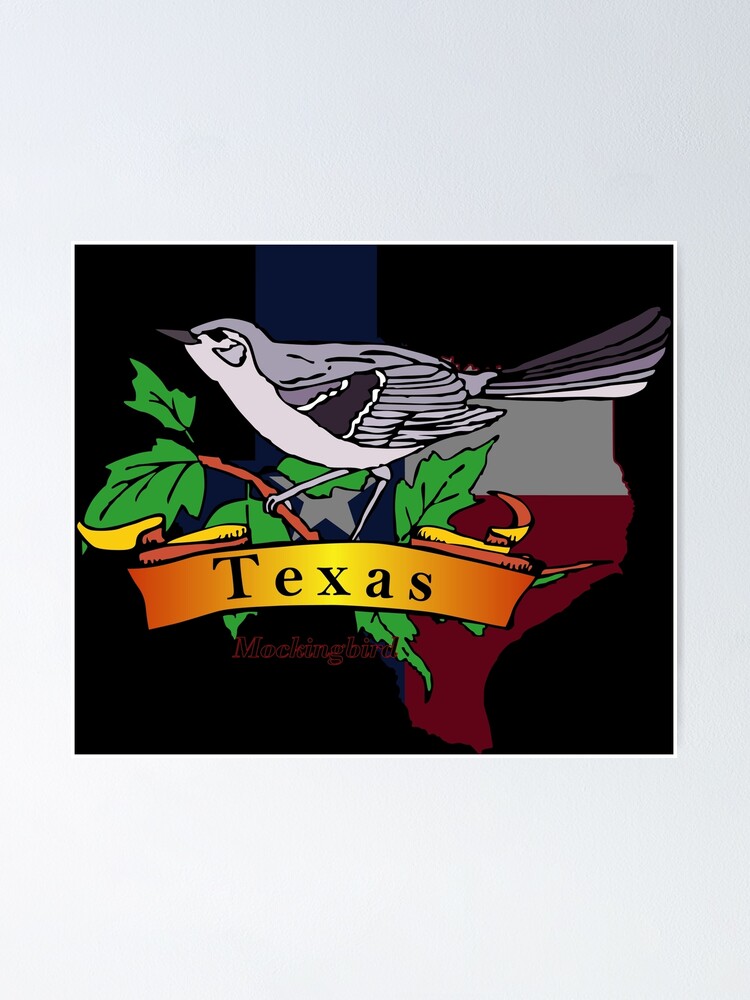 "Texas Mockingbird w Texas Flag" Poster for Sale by twix123844 | Redbubble