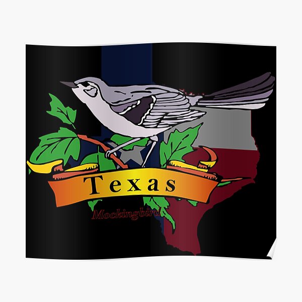"Texas Mockingbird w Texas Flag" Poster for Sale by twix123844 | Redbubble