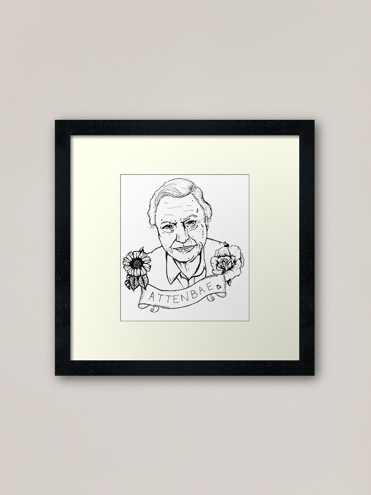 "David Attenborough - AttenBae Original Sketch" Framed Art Print by ...