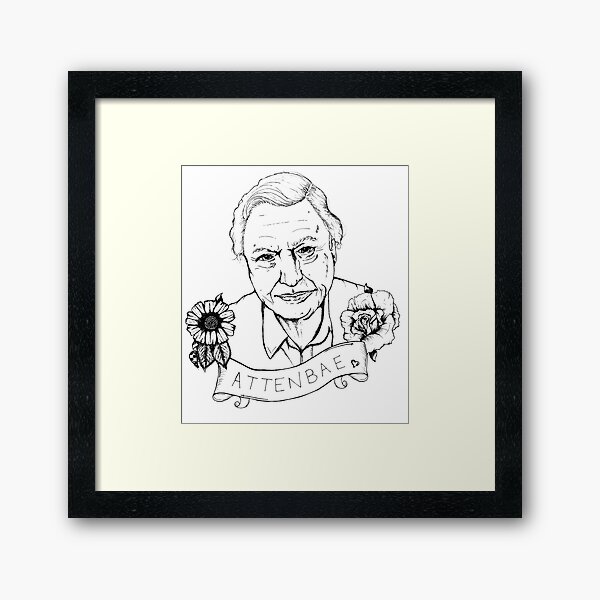 "David Attenborough - AttenBae Original Sketch" Framed Art Print by ...