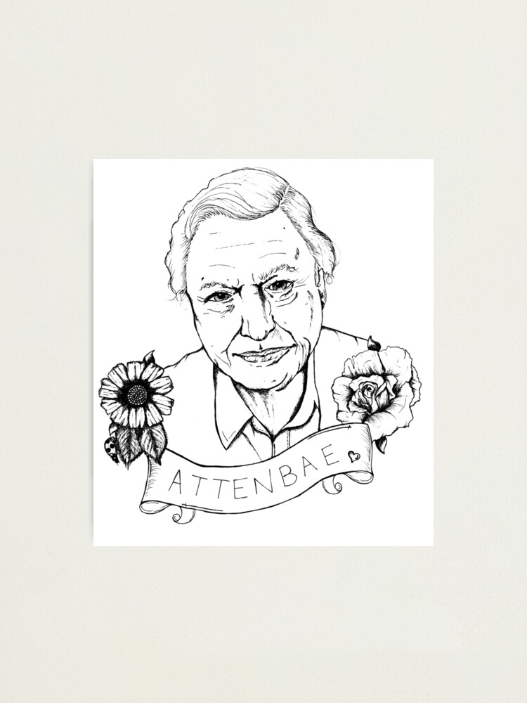 "David Attenborough - AttenBae Original Sketch" Photographic Print by ...