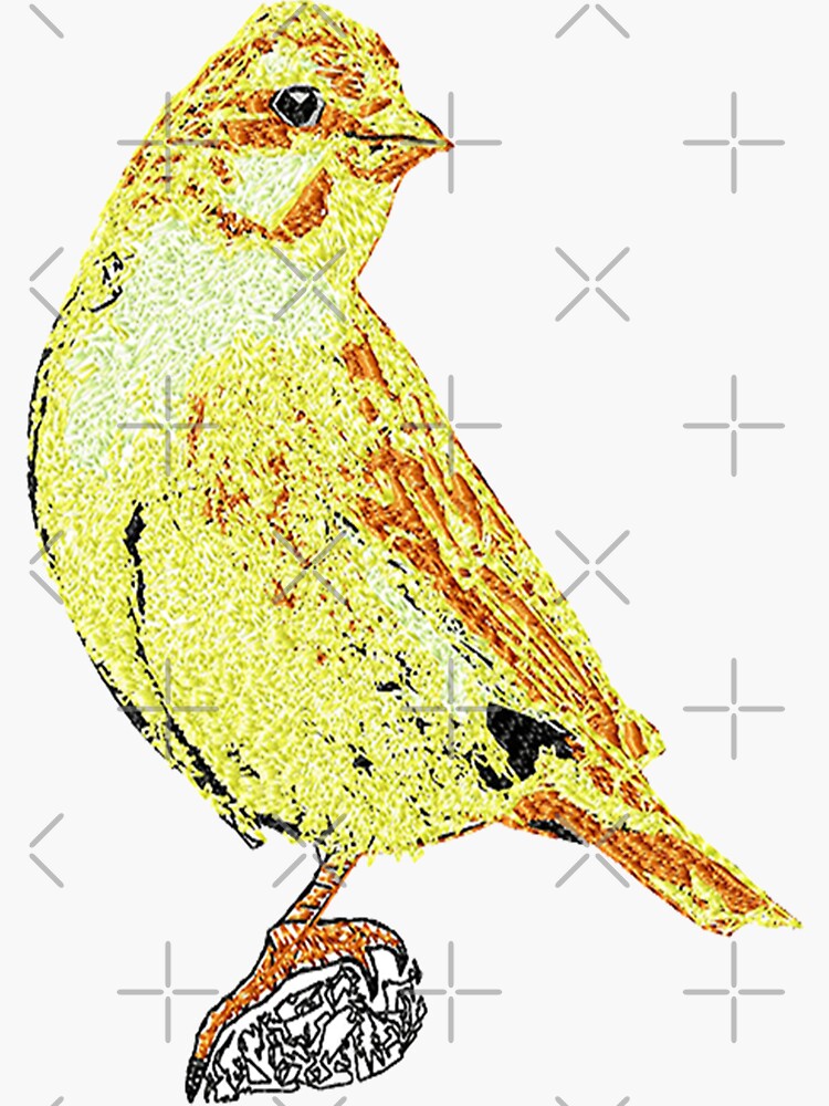 "Machine embroidery, Beautiful Embroidered Bird, Canarie, Stitch ...